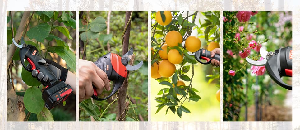 Top 5 Electric Power Shears